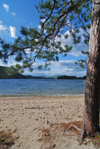 Newfound Lake is the 8th clearest lake in US | Roche Realty Group