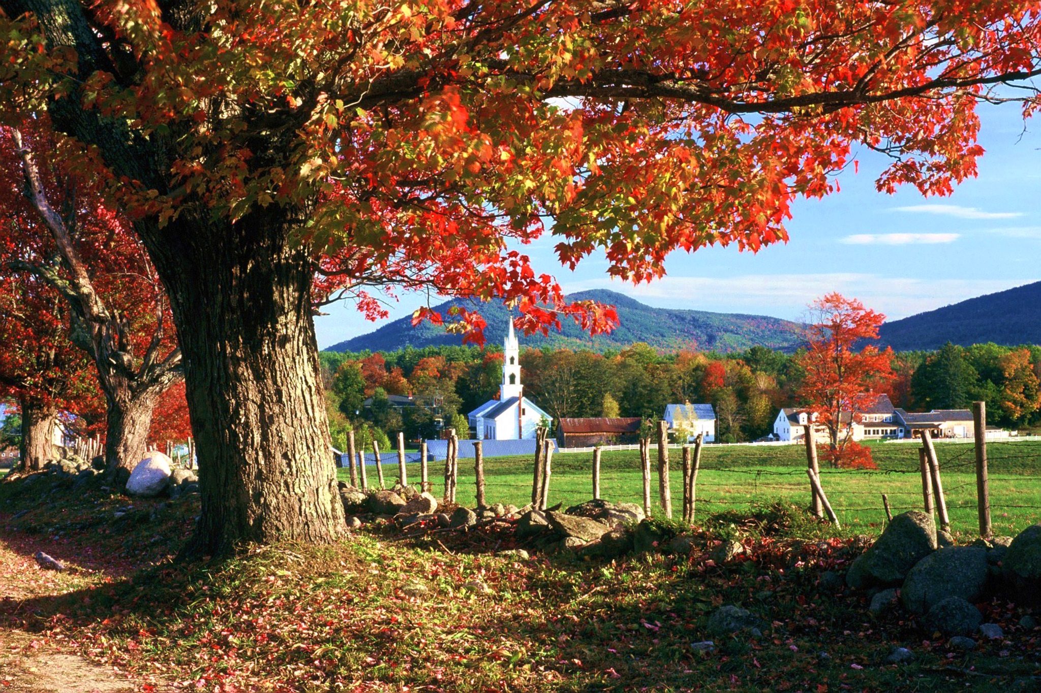 NH Lakes Region Homes for Sale | Roche Realty Group