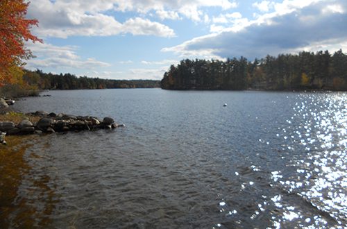 NH Lakes | Roche Realty Group